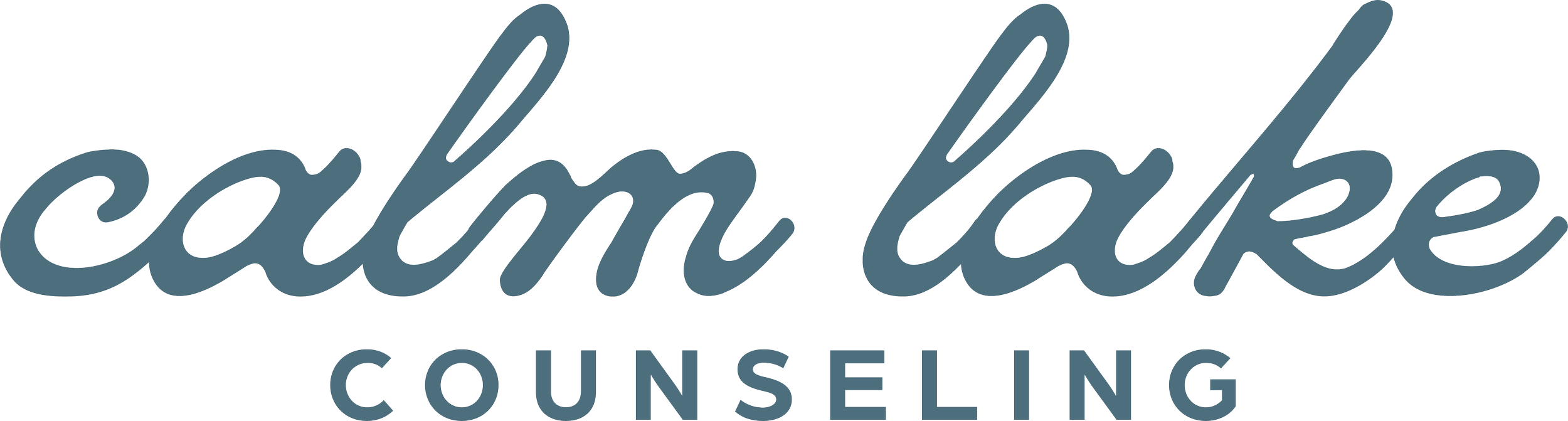 Our Team — Calm Lake Counseling
