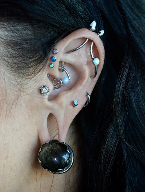 Ear Piercing Prices — Evolution Body Piercing
