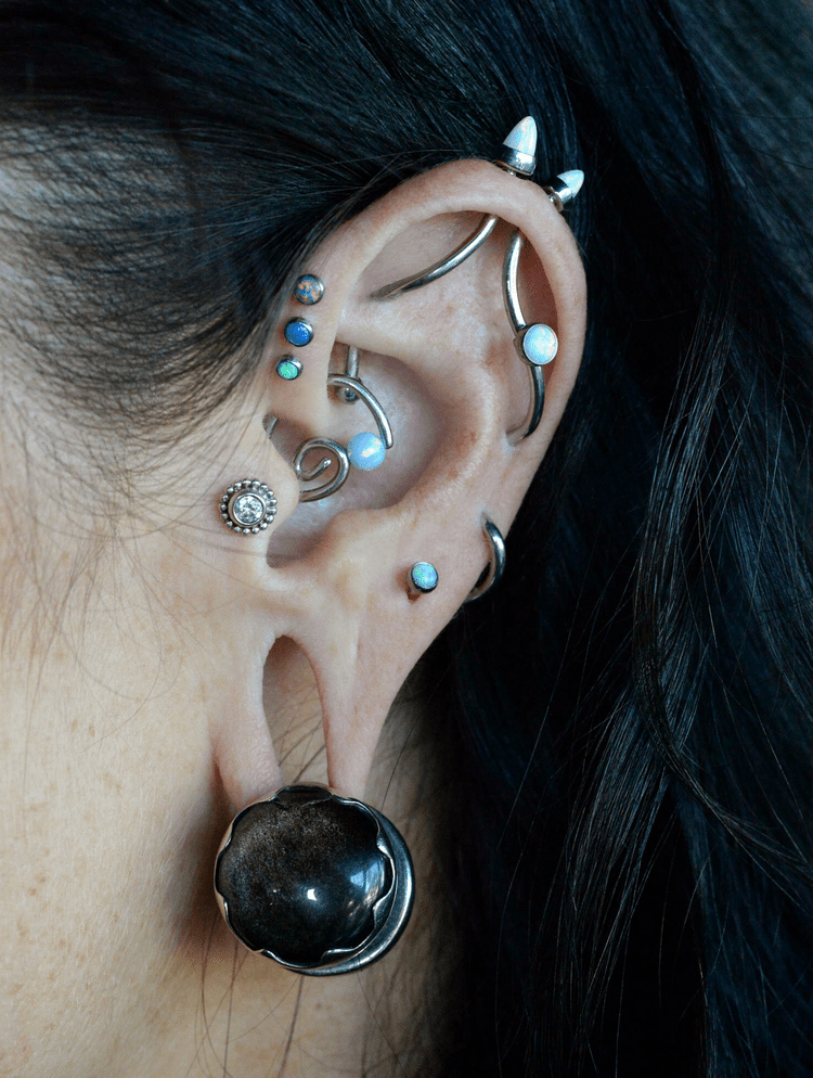 Ear Piercing Prices — Evolution Body Piercing