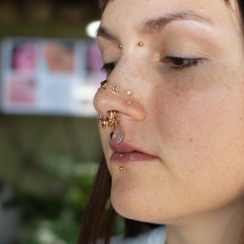 Jewelry — Evolution Body Piercing