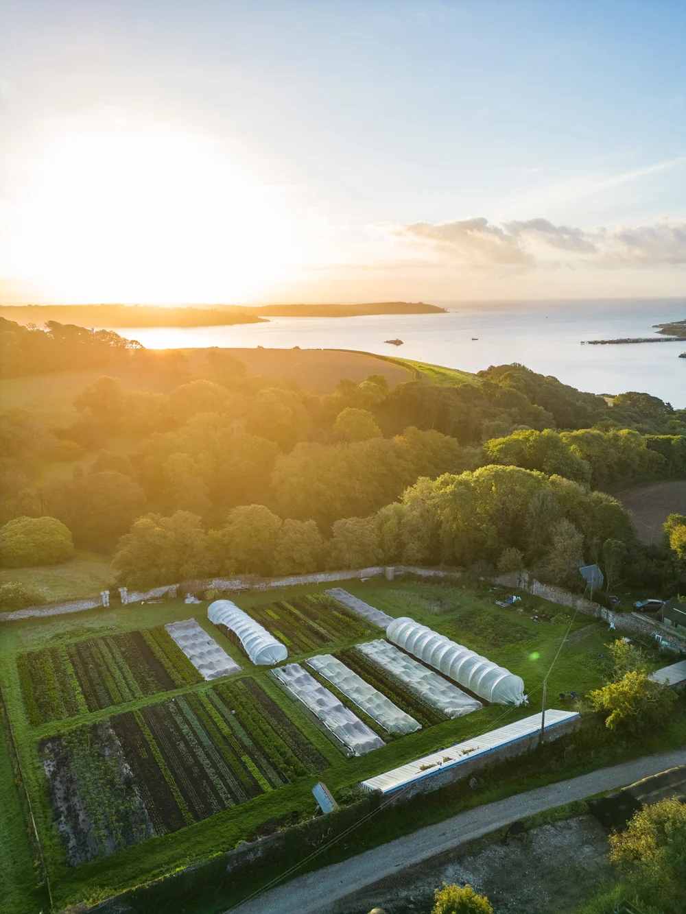 Our Story & Team — Soul Farm