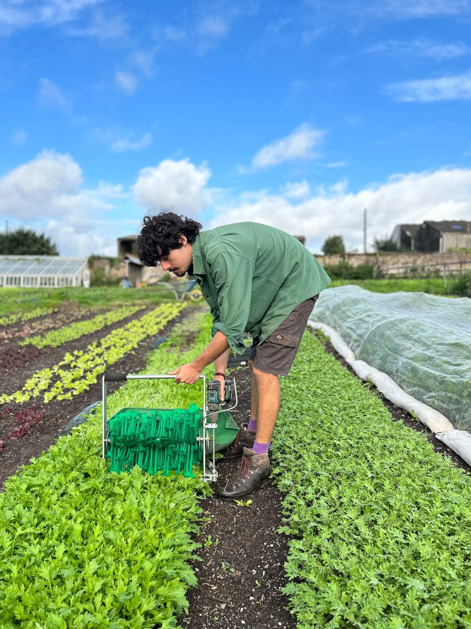 About us — Soul Farm