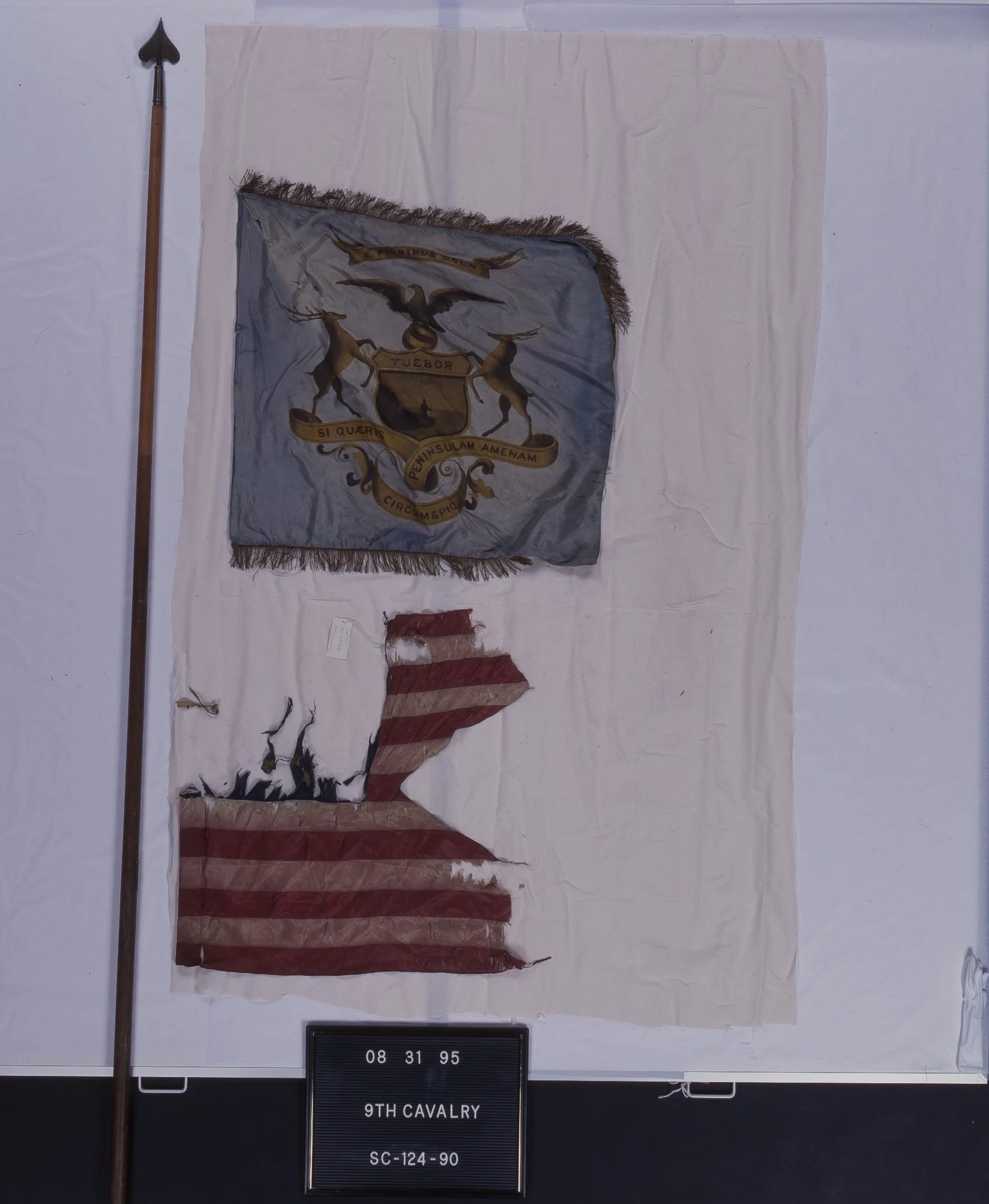 9th Michigan Volunteer Cavalry Regiment Flags — Michigan Battle Flags