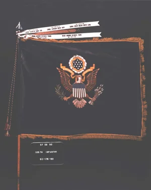 125th United States Infantry — Michigan Battle Flags