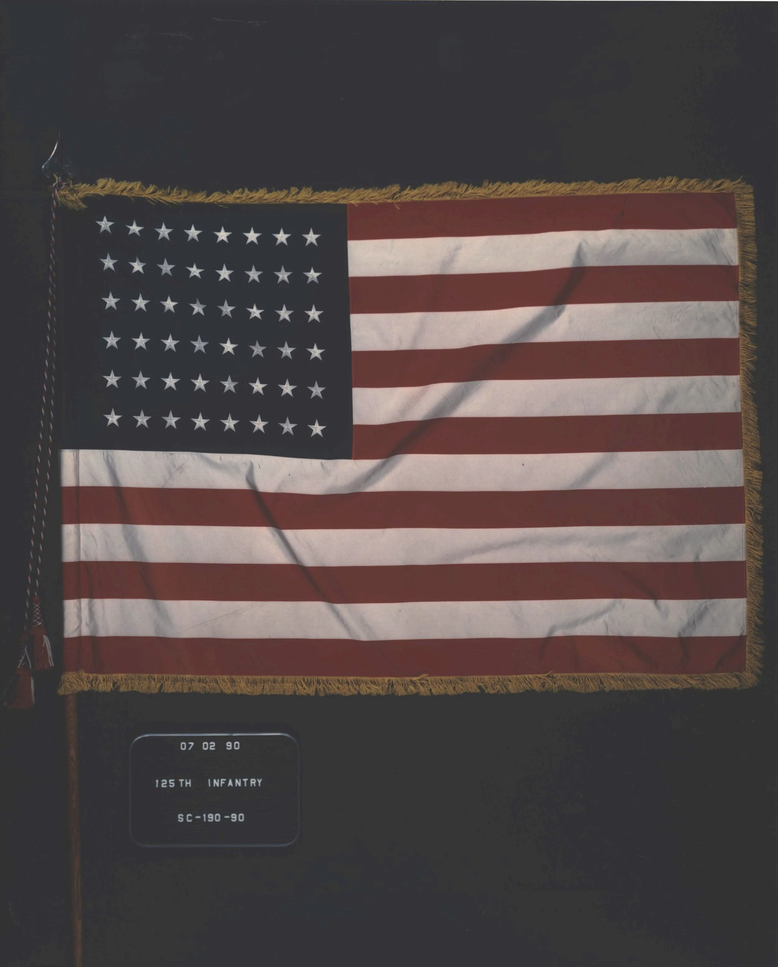 125th United States Infantry — Michigan Battle Flags