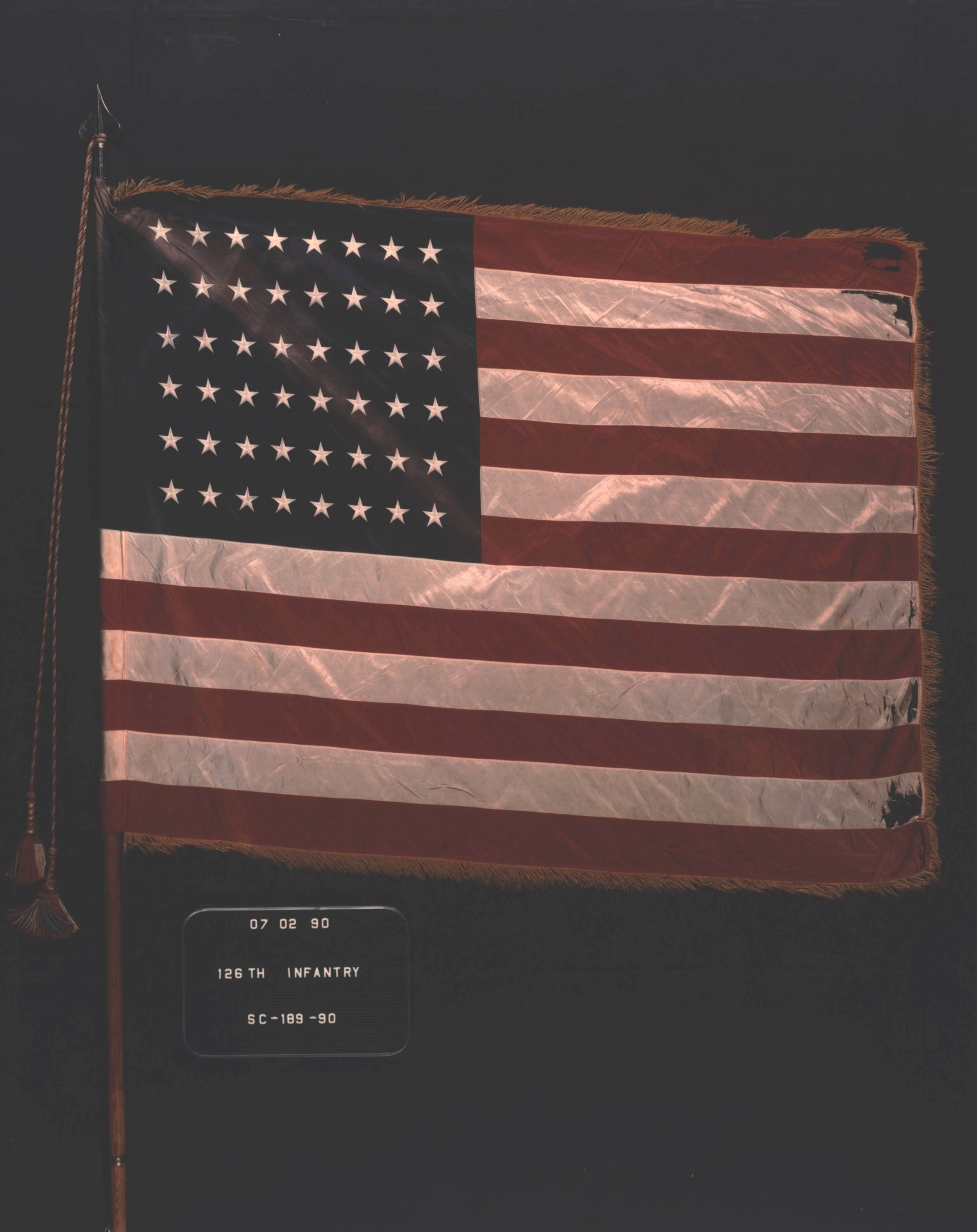 126th United States Infantry — Michigan Battle Flags