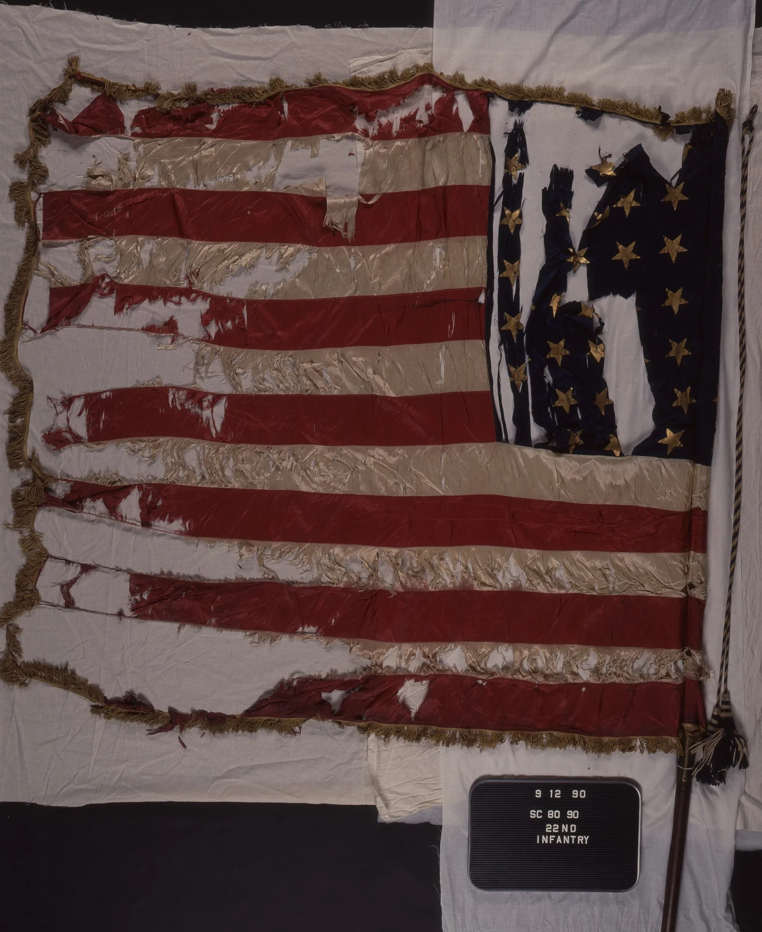 22nd Michigan Volunteer Infantry Regiment Flags — Michigan Battle Flags