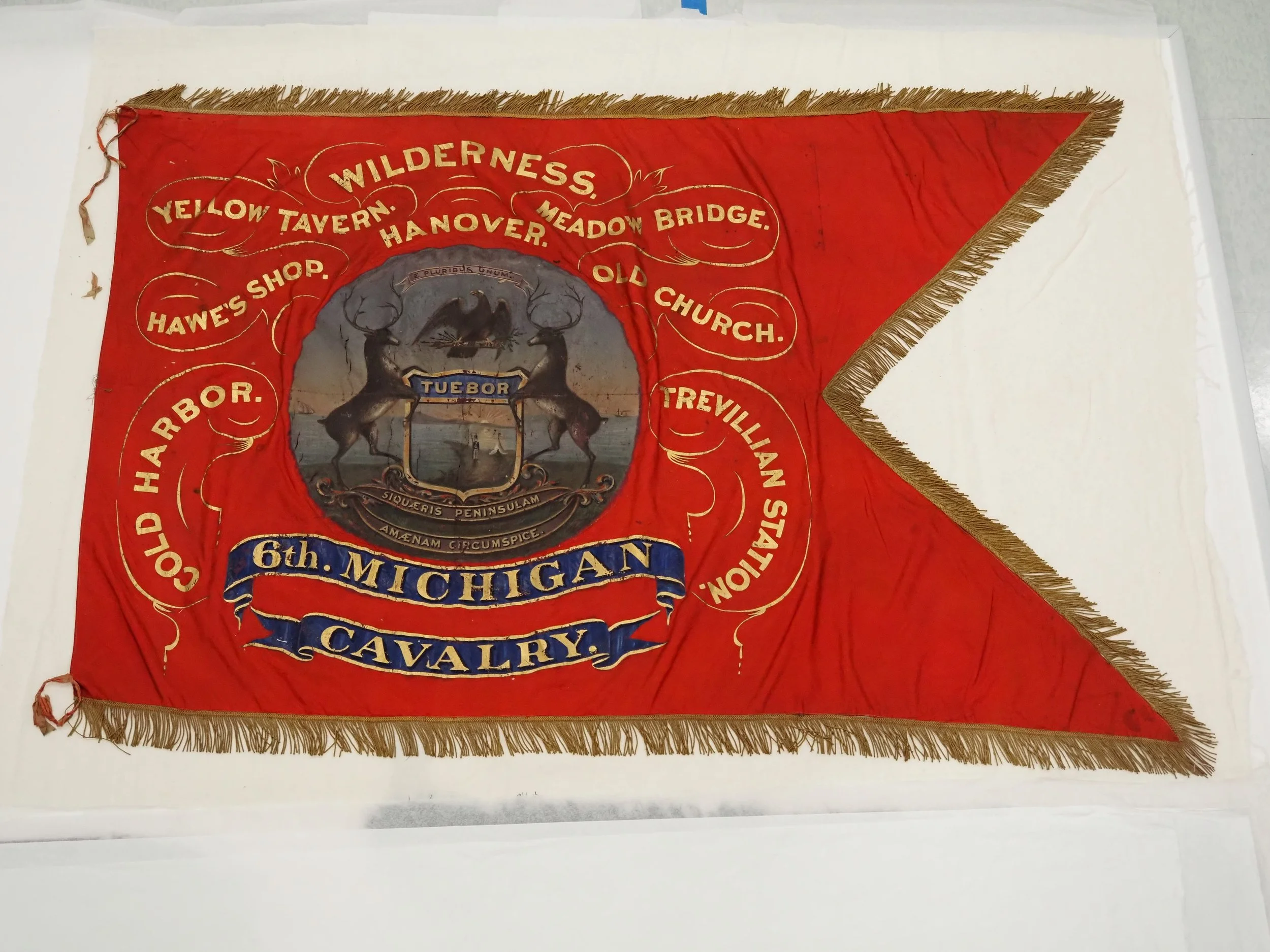 6th Michigan Volunteer Cavalry Regiment Flags — Michigan Battle Flags