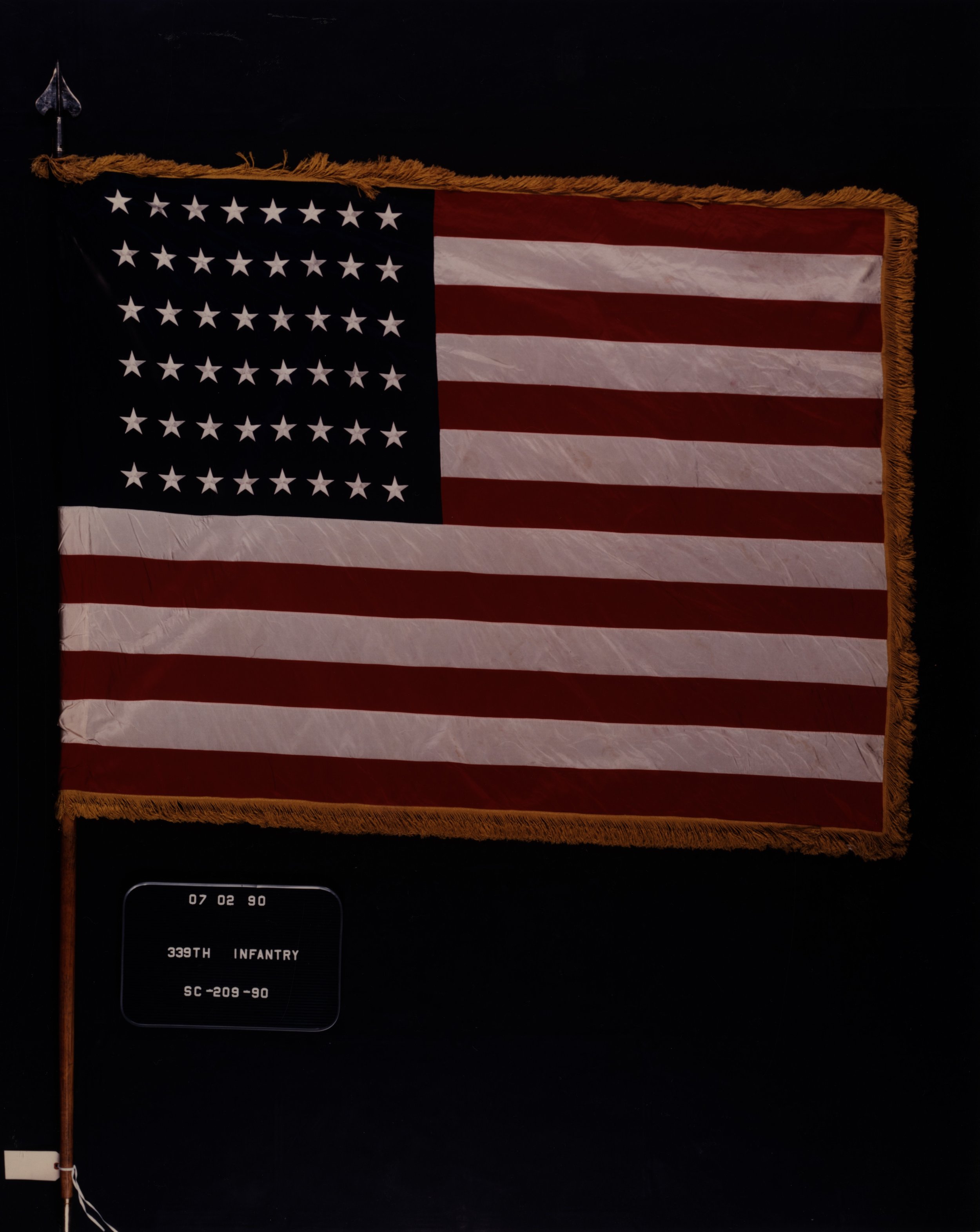 339th United States Infantry — Michigan Battle Flags
