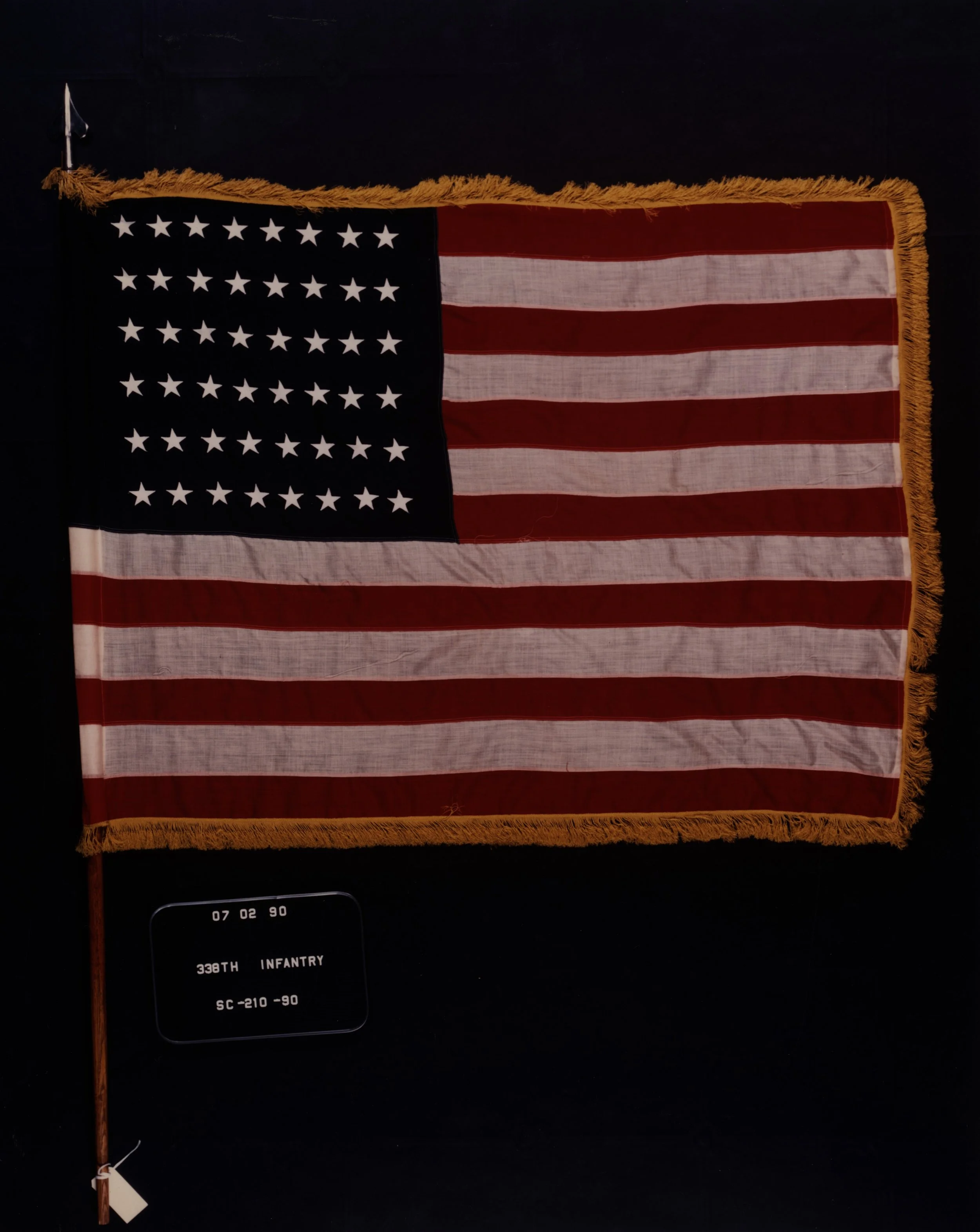 338th United States Infantry — Michigan Battle Flags