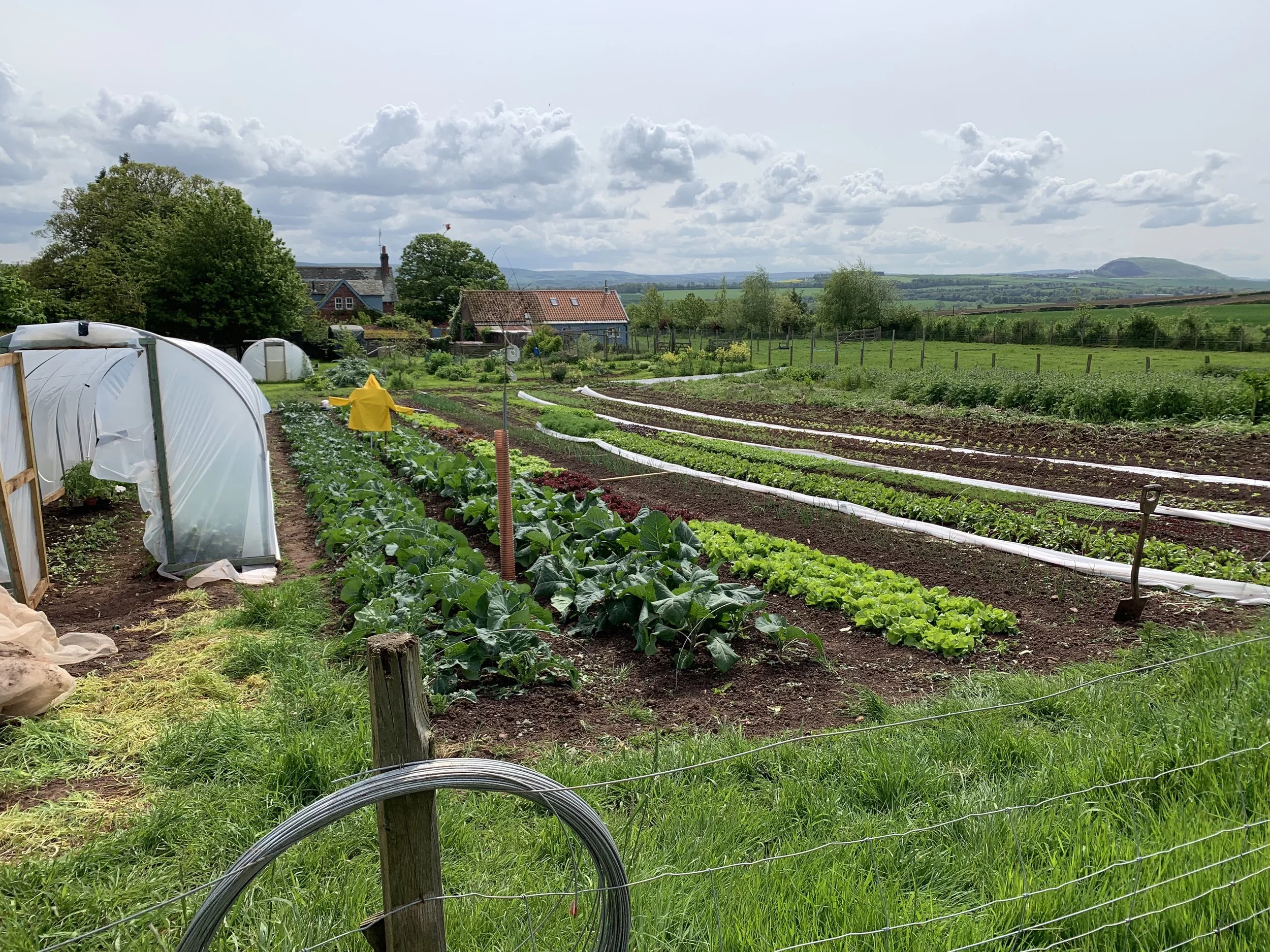 Tyninghame Community Farm