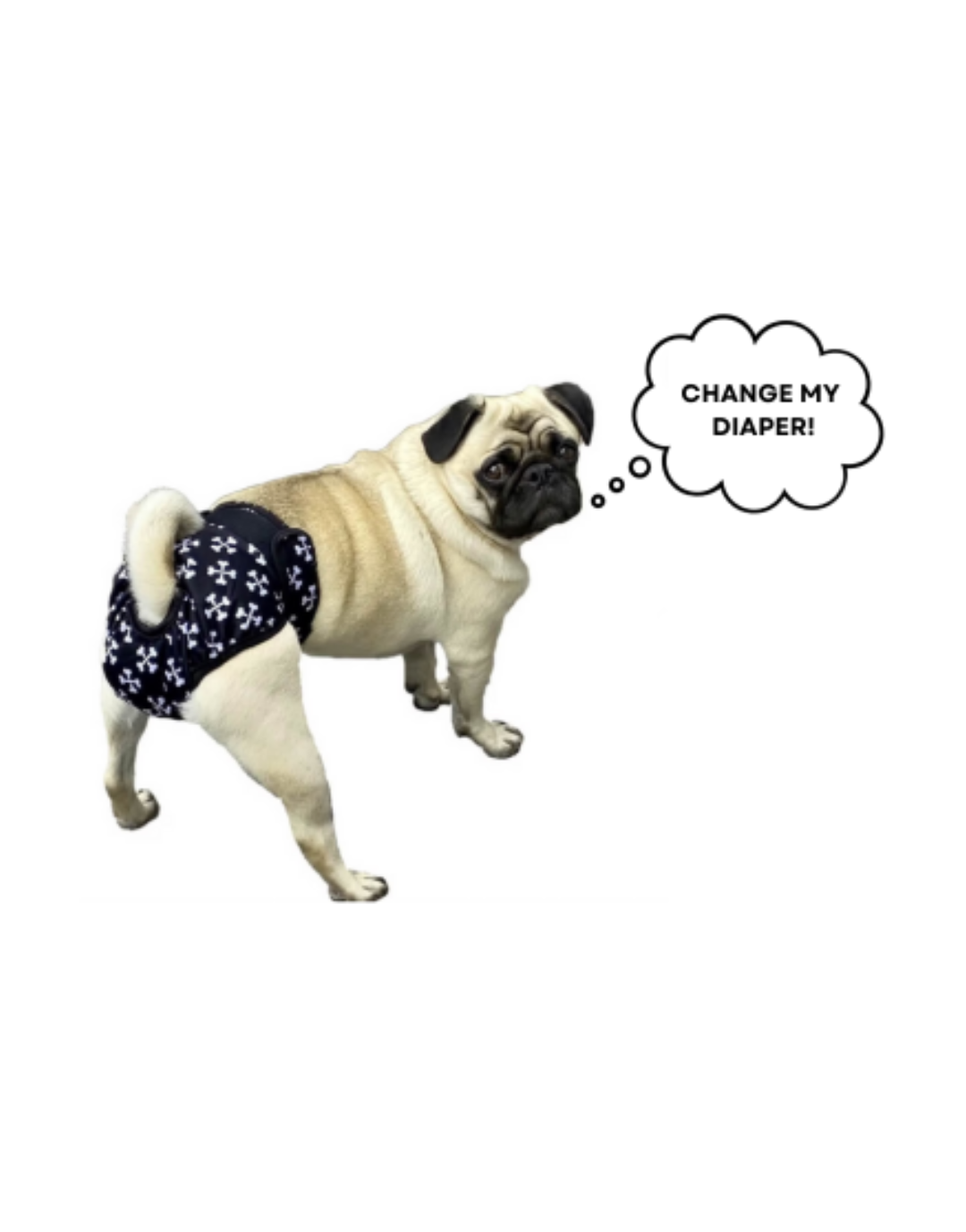 Writing/Copywriting — AMI ANGELOWICZ