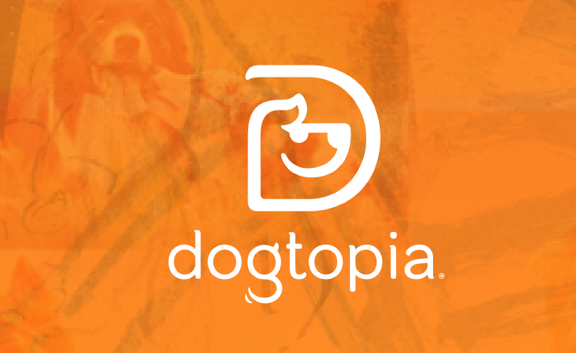 Angel City Dogs, LLC