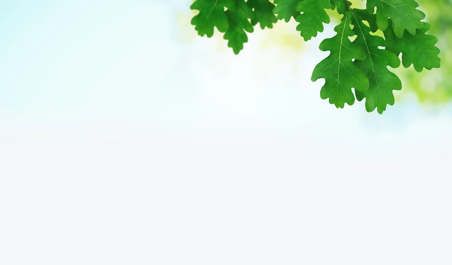 ADHD assessments | Psychologist Melbourne