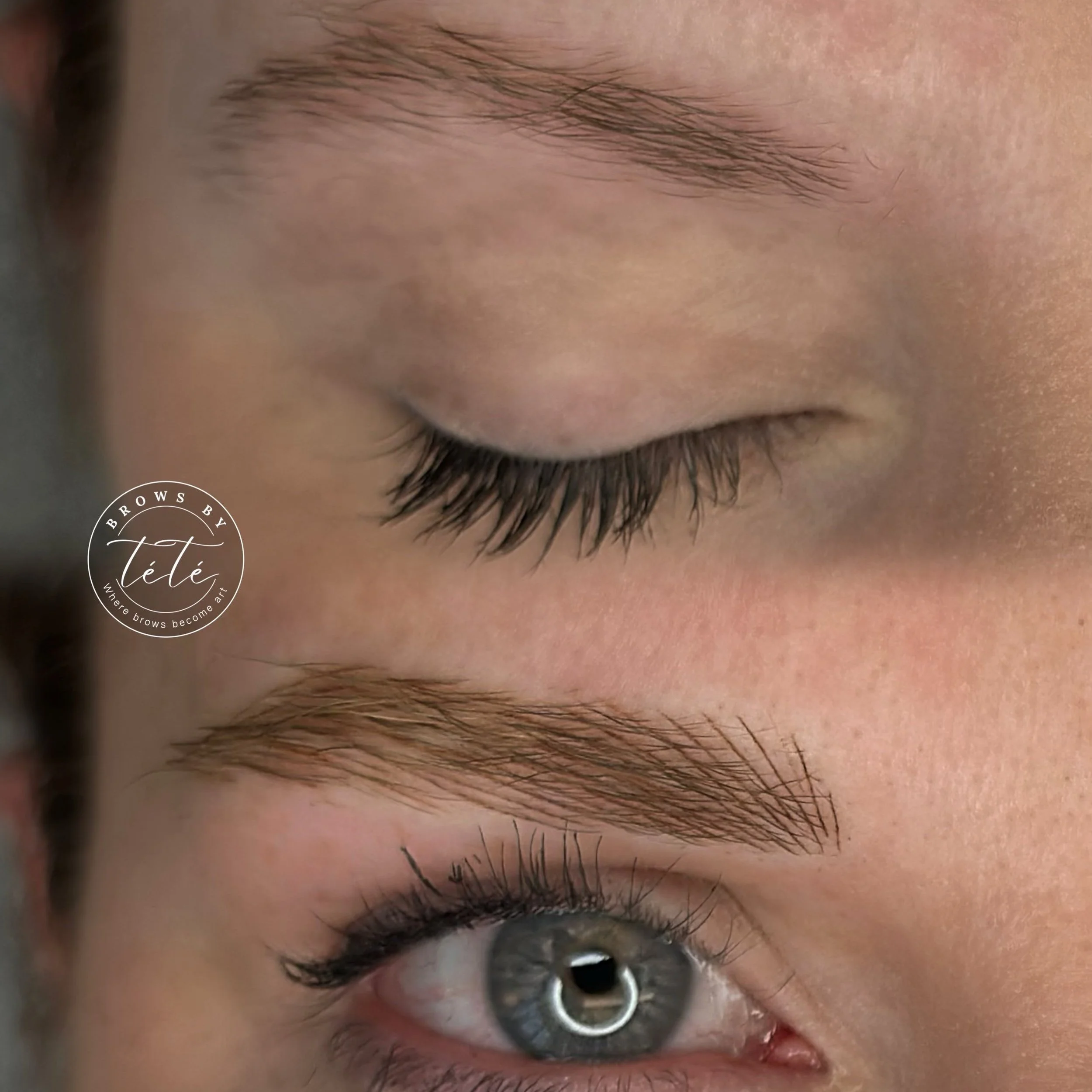 Gallery — Brows by TéTé