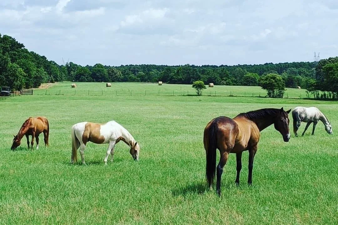 High Pointe Stables