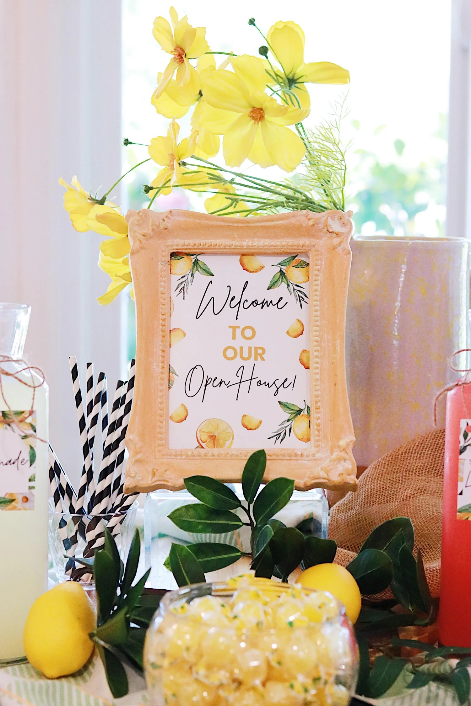 Lemon Theme Open House with Susan Ashouri and Kelly Evans — Livin With ...