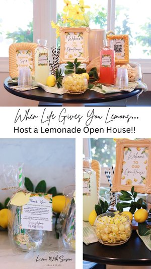 When Life Gives You Lemons, Host a Lemonade Open House! — Livin With Susan