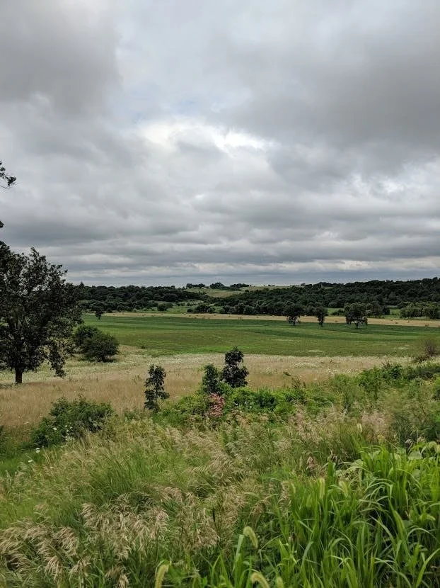 On the sensuality of my hate f*ck with the Midwest.. — Elle Sutton, a ...