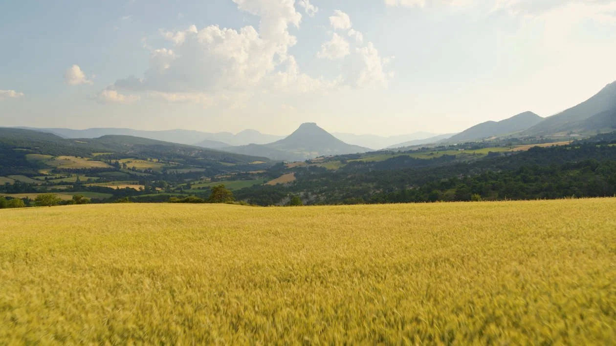 Conditions générales de vente — Terre des Baronnies