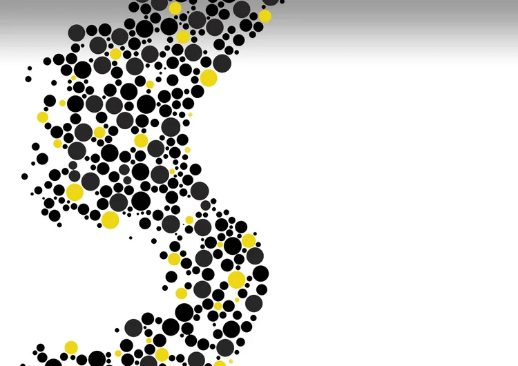 General 1 — Eye Research Group Oxford