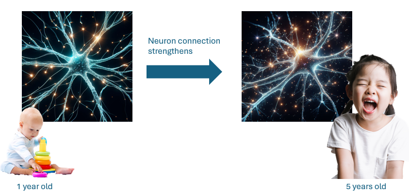 The Remarkable Brain Growth in Early Childhood — Yoobain