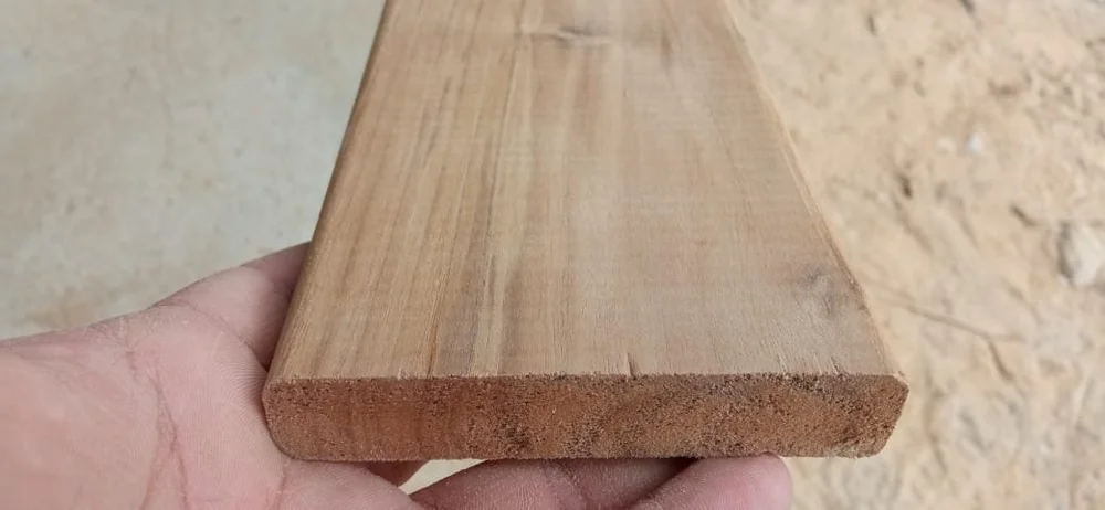 About Us — Scellec Teca