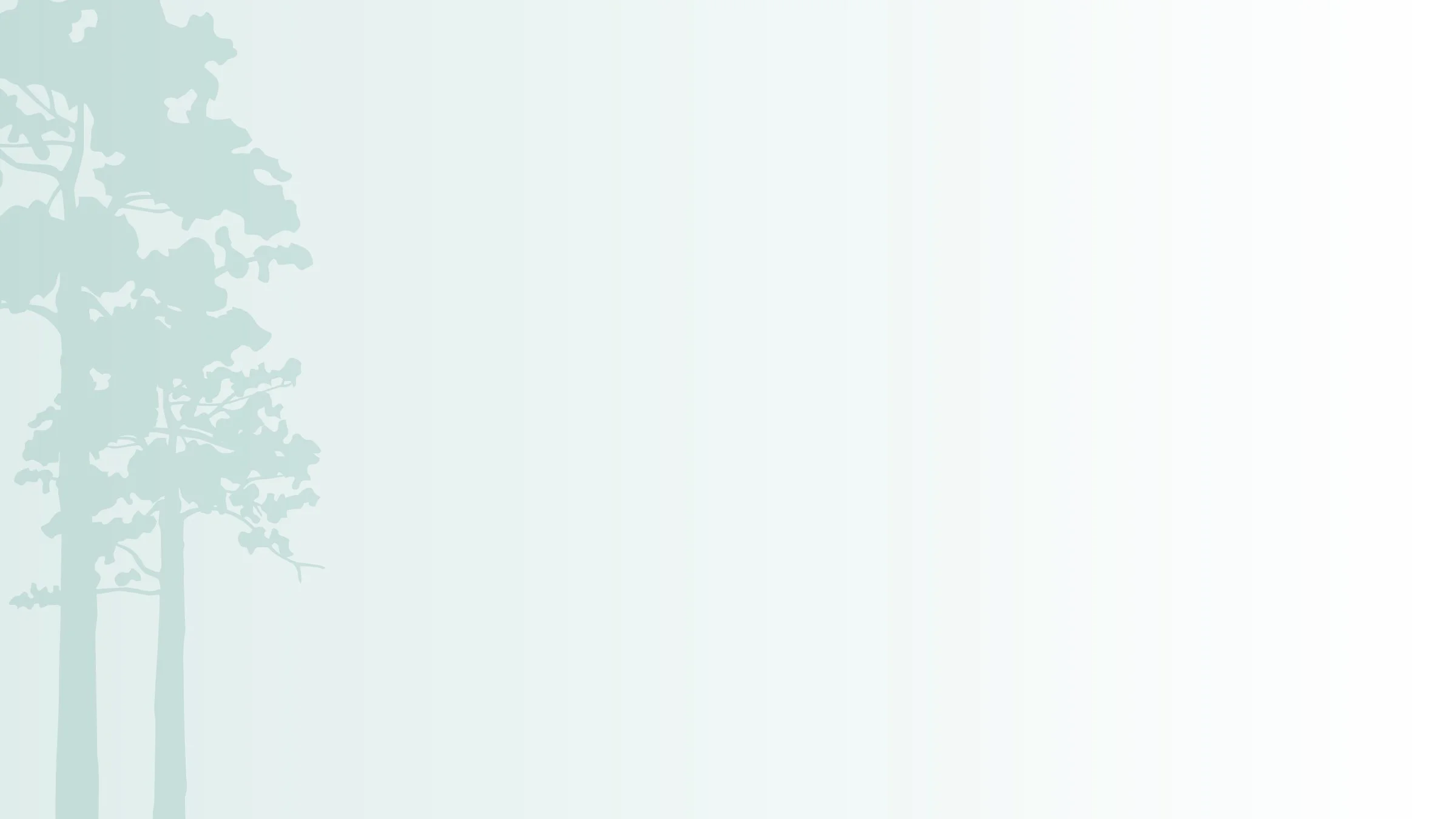 About Us — Scellec Teca