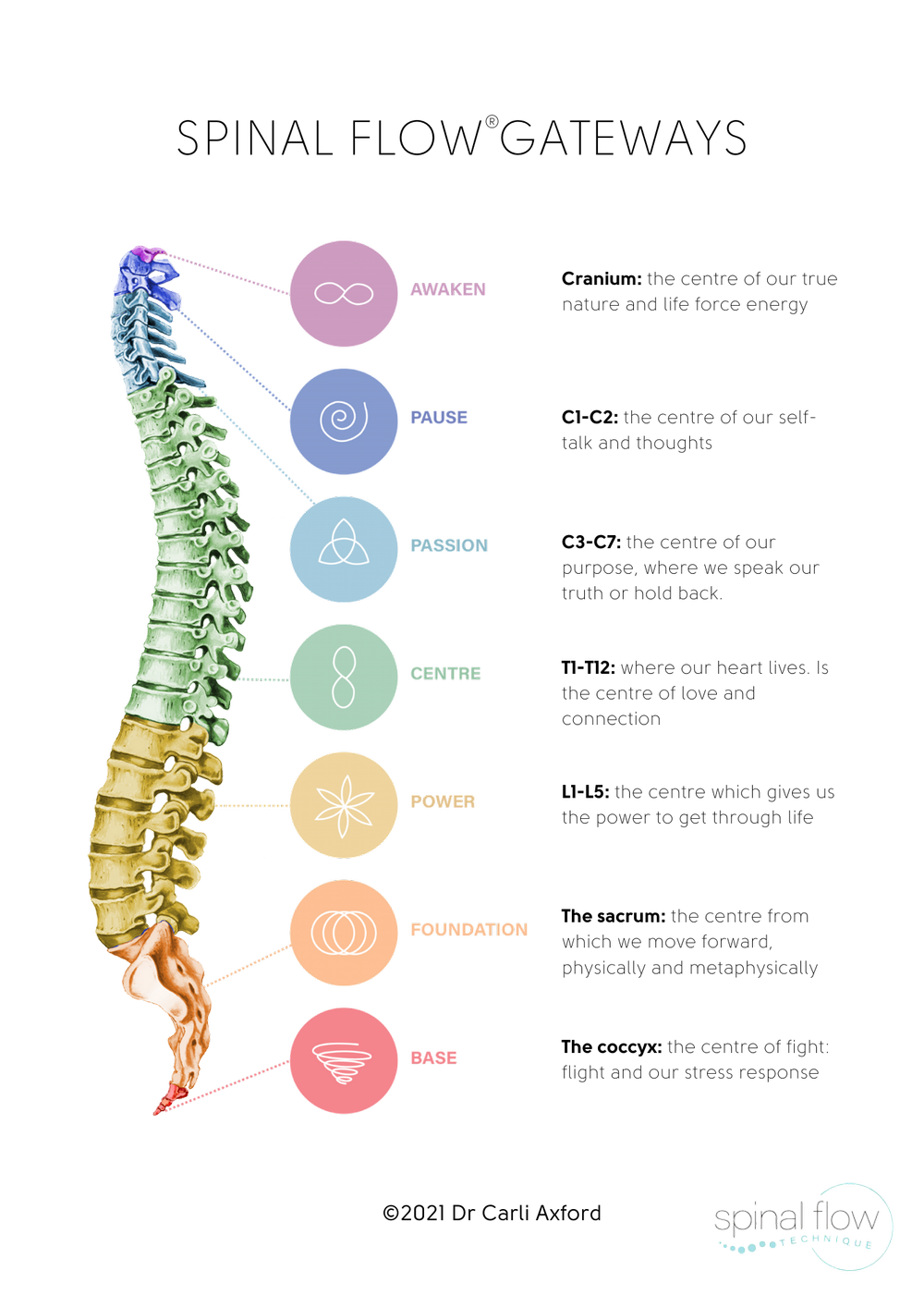 What is Spinal Flow Technique — Spinal Flow Health & Healing
