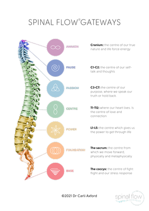 What is Spinal Flow Technique — Spinal Flow Health & Healing