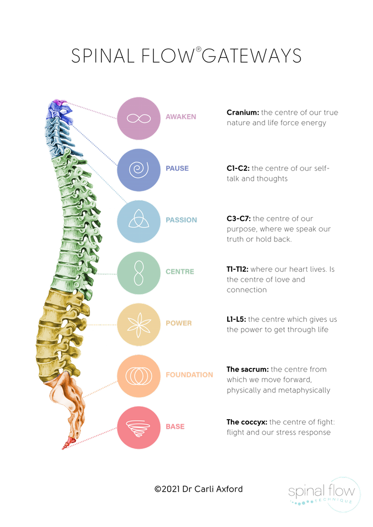 What is Spinal Flow Technique — Spinal Flow Health & Healing