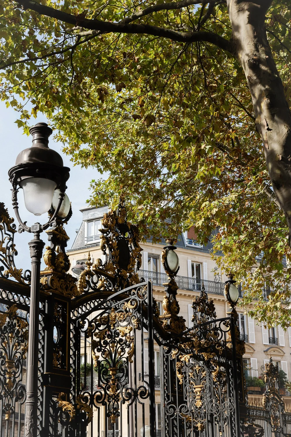 Monceau — MAISON STELLAR