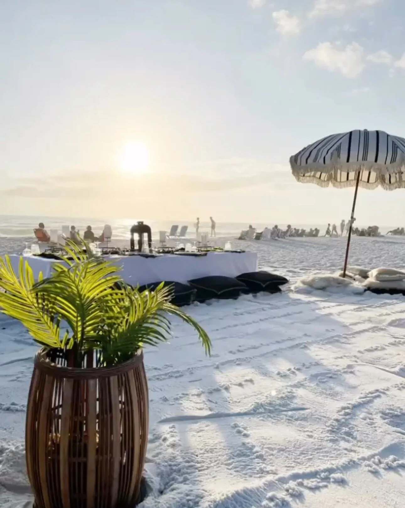 SALTY Beach Setups