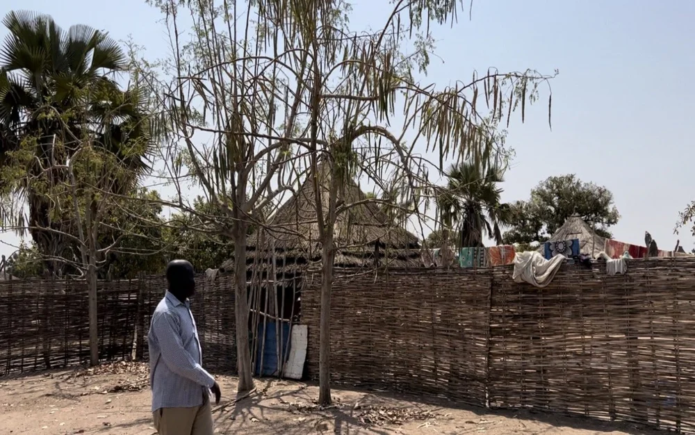 Moringa Trees — Lost Boy No More