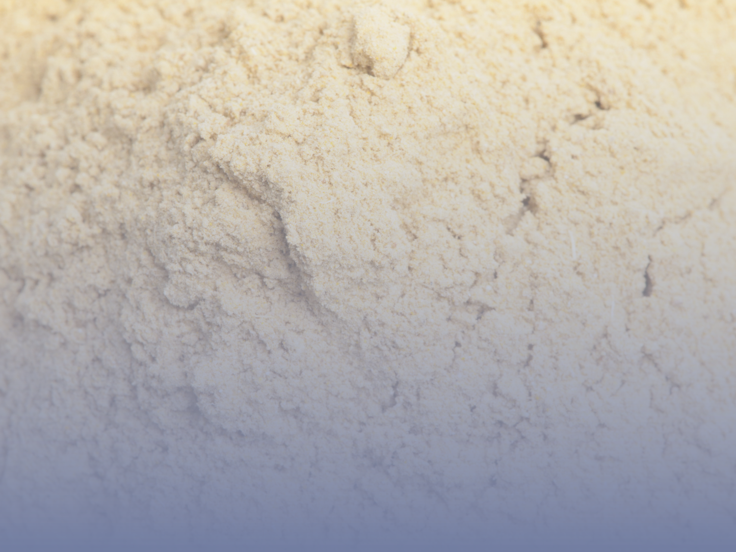 Customer-First — CoreFX Ingredients