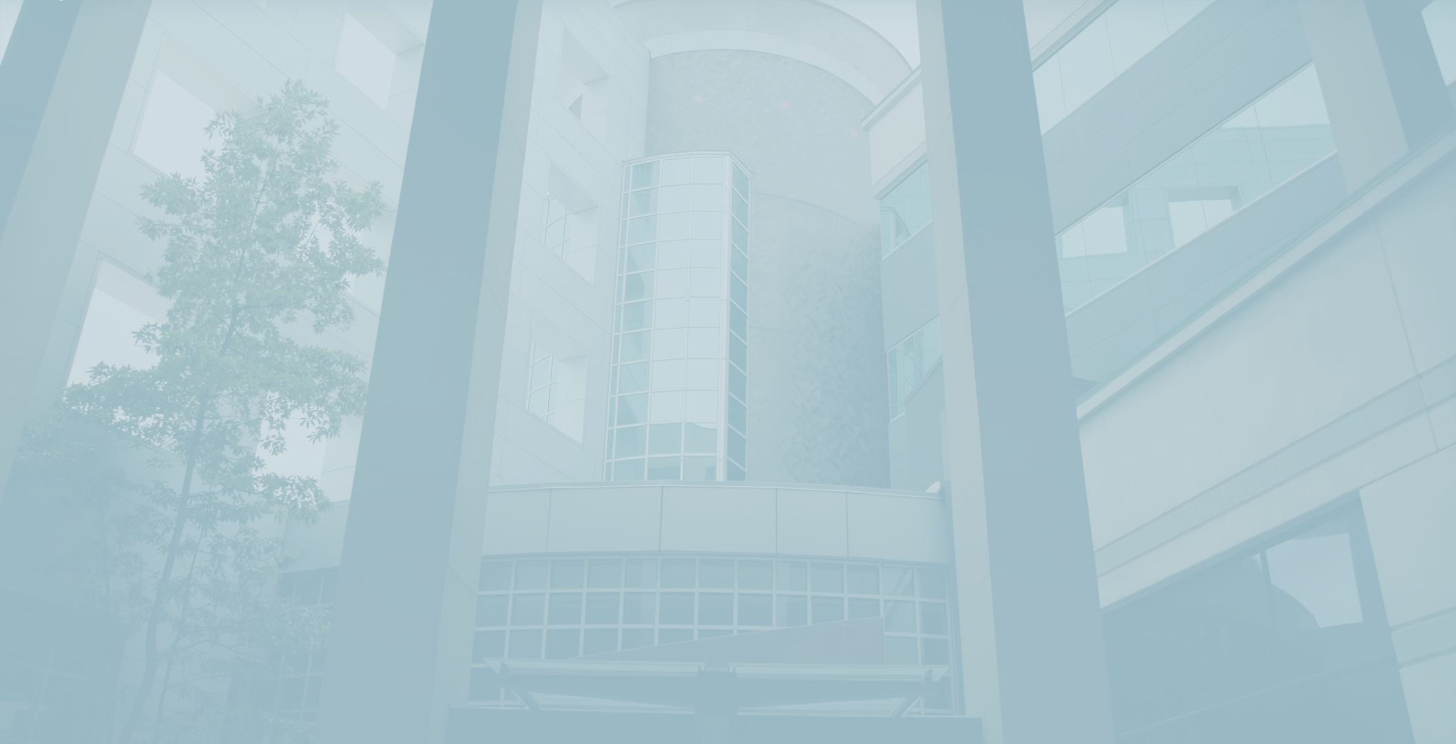 Programs — STS Institute