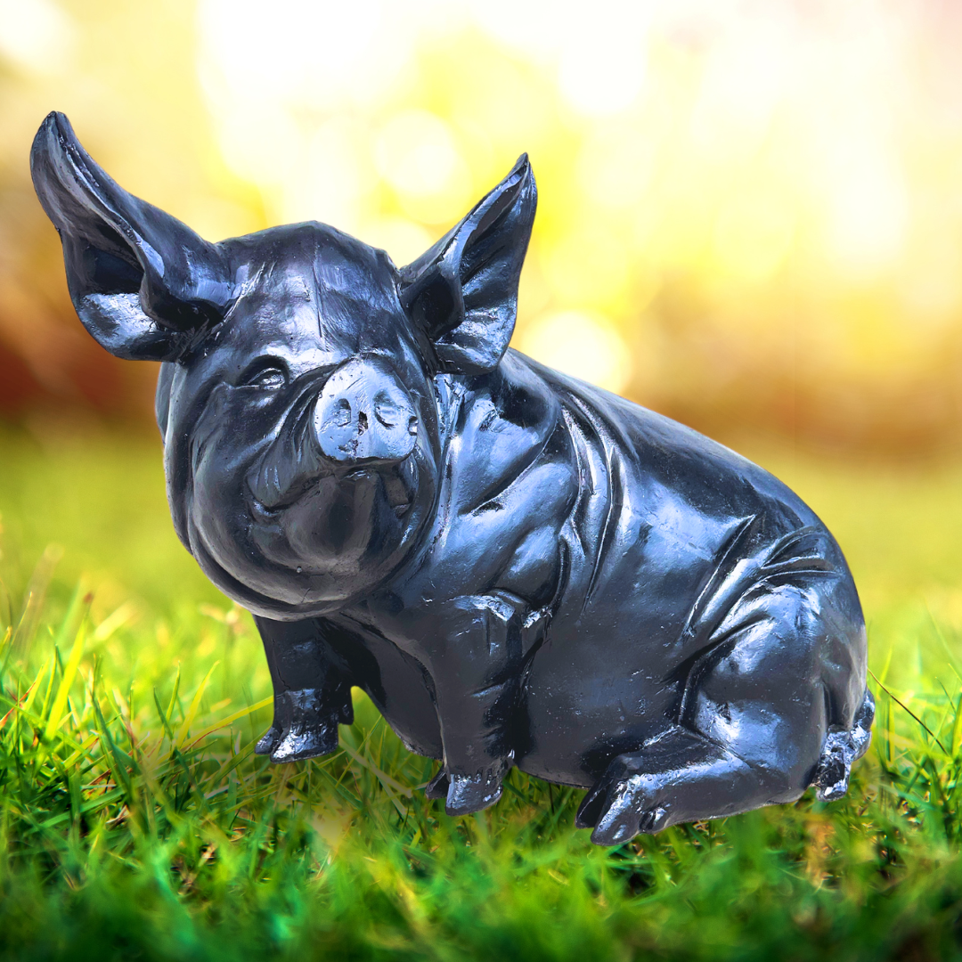 About — C&B Meat Market and Processing