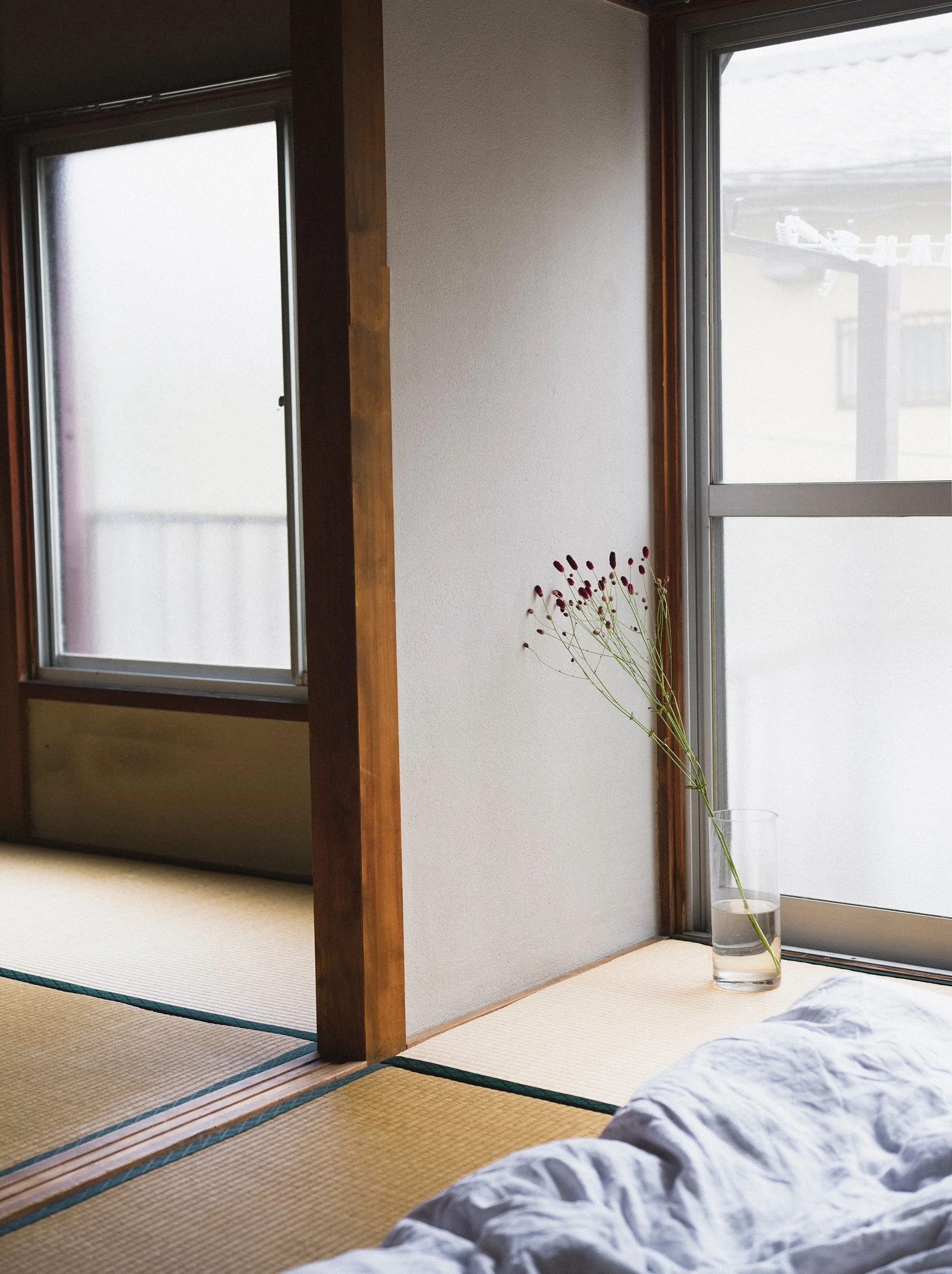 The Cashmere Muse — Marta Rubio