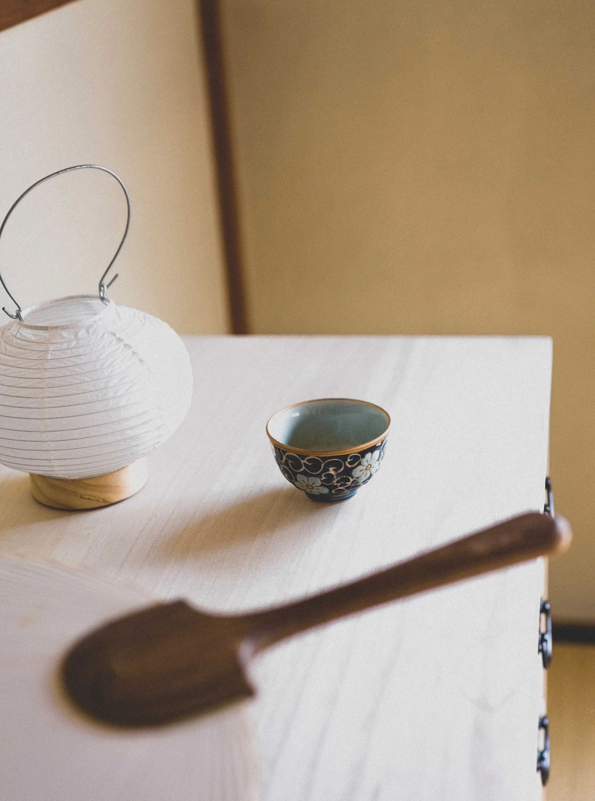 The Cashmere Muse — Marta Rubio