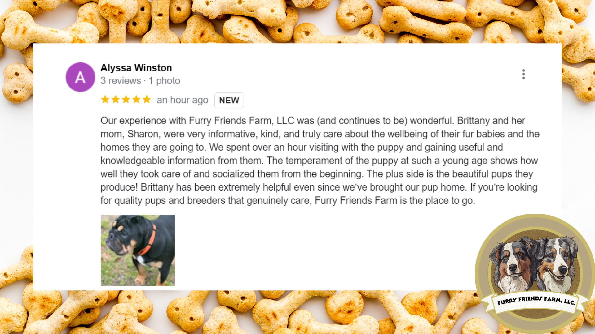 About Us - Testimonials — Furry Friends Farm