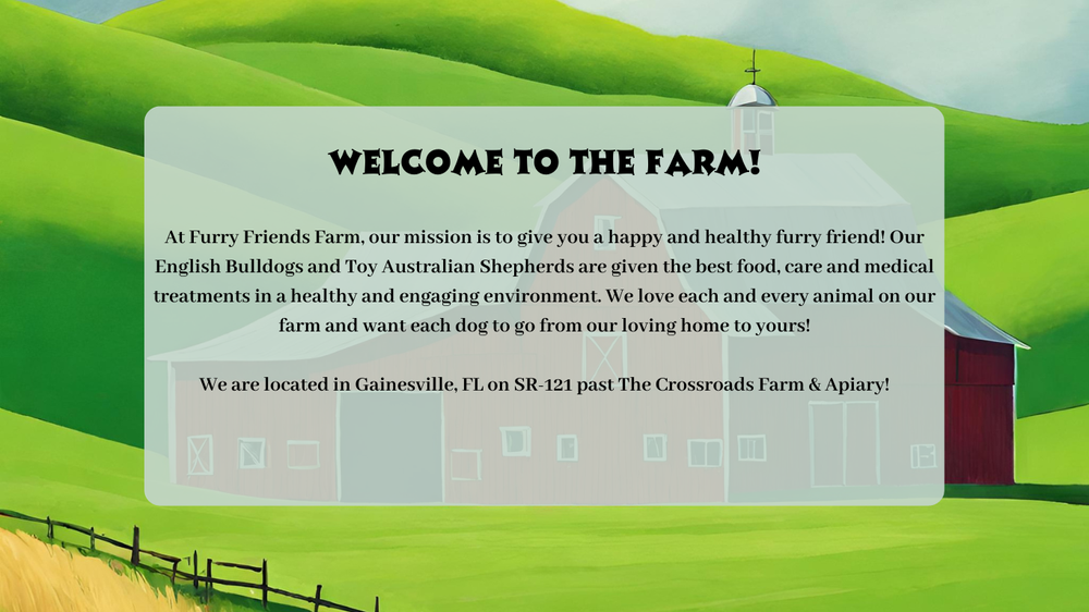 Furry Friends Farm