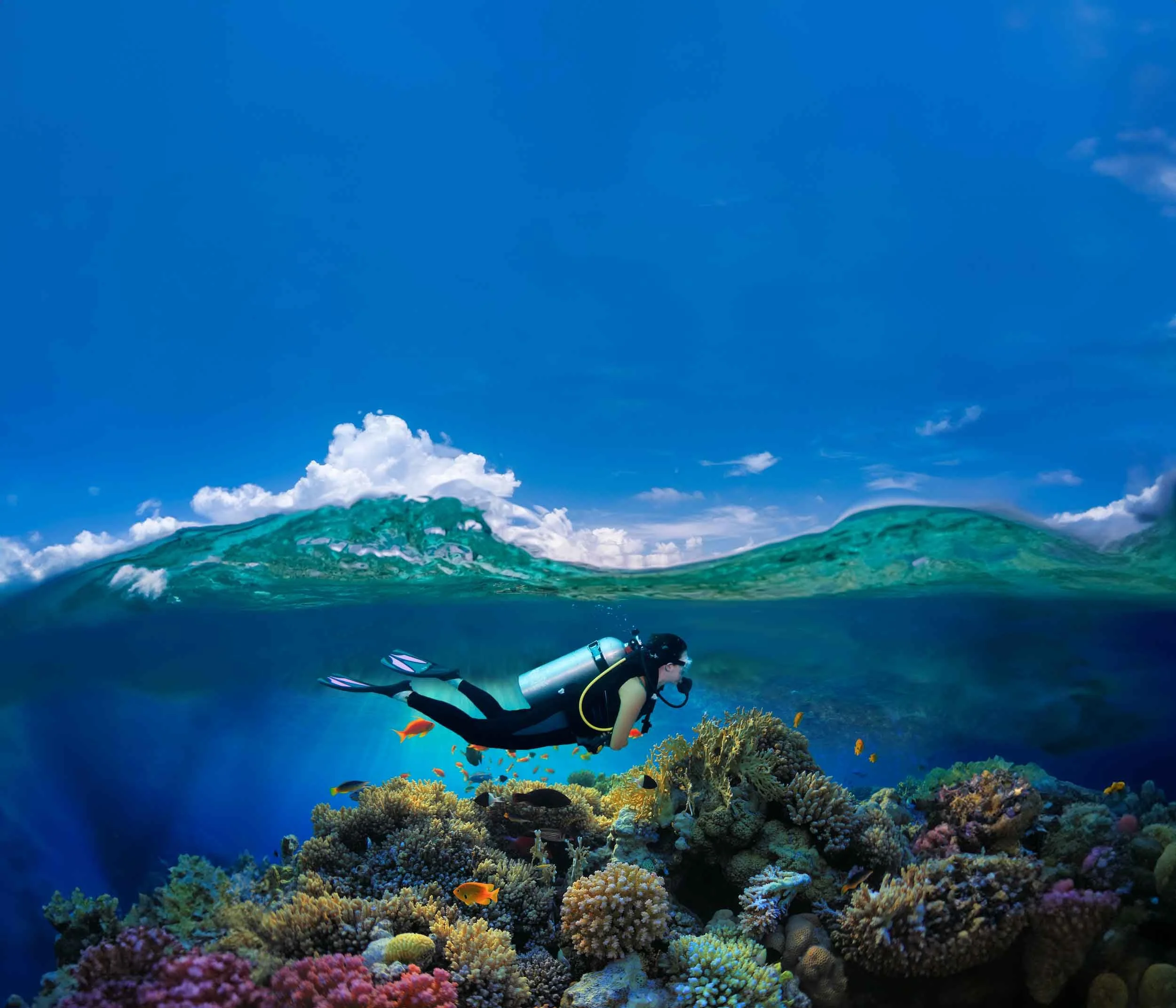 Seaira Dives | Scuba Diving Training and Travel