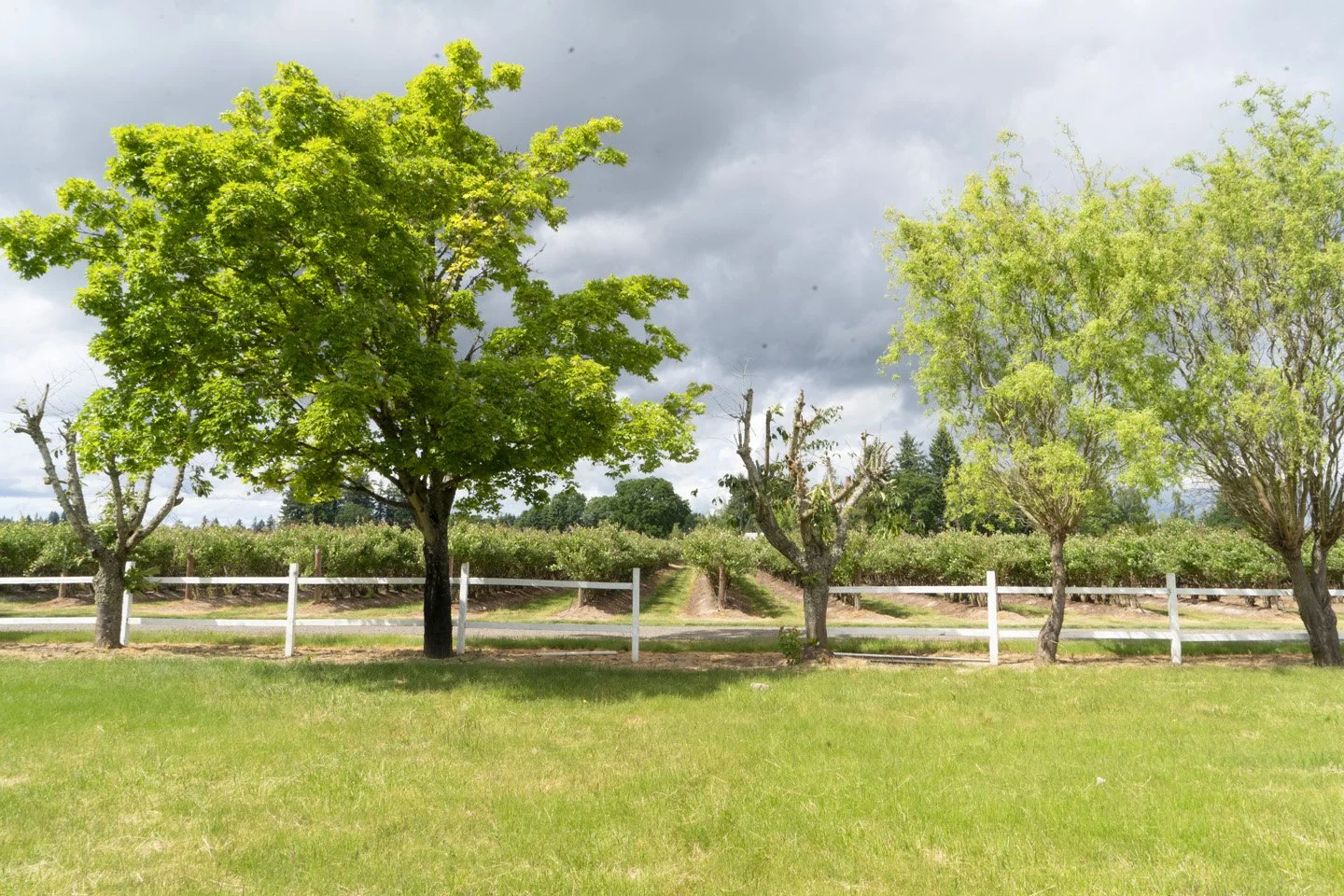 Western Farm Workers Association