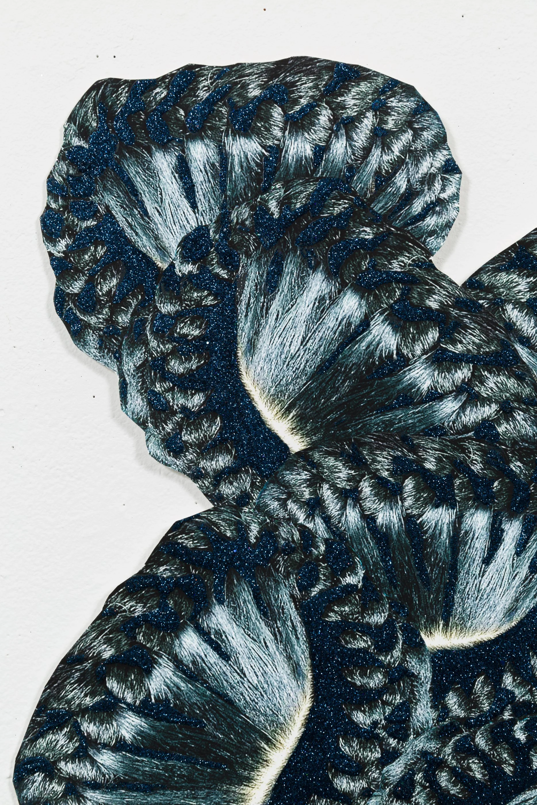 We Make Our Own Light — 1202