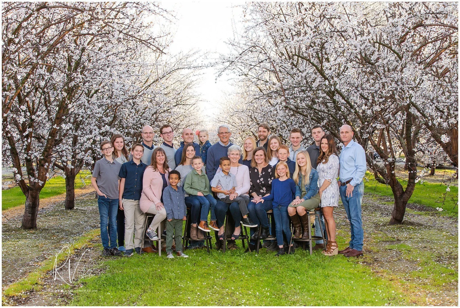 Family Photos Among the Almond Blossoms Ripon CA — Rachael Venema ...