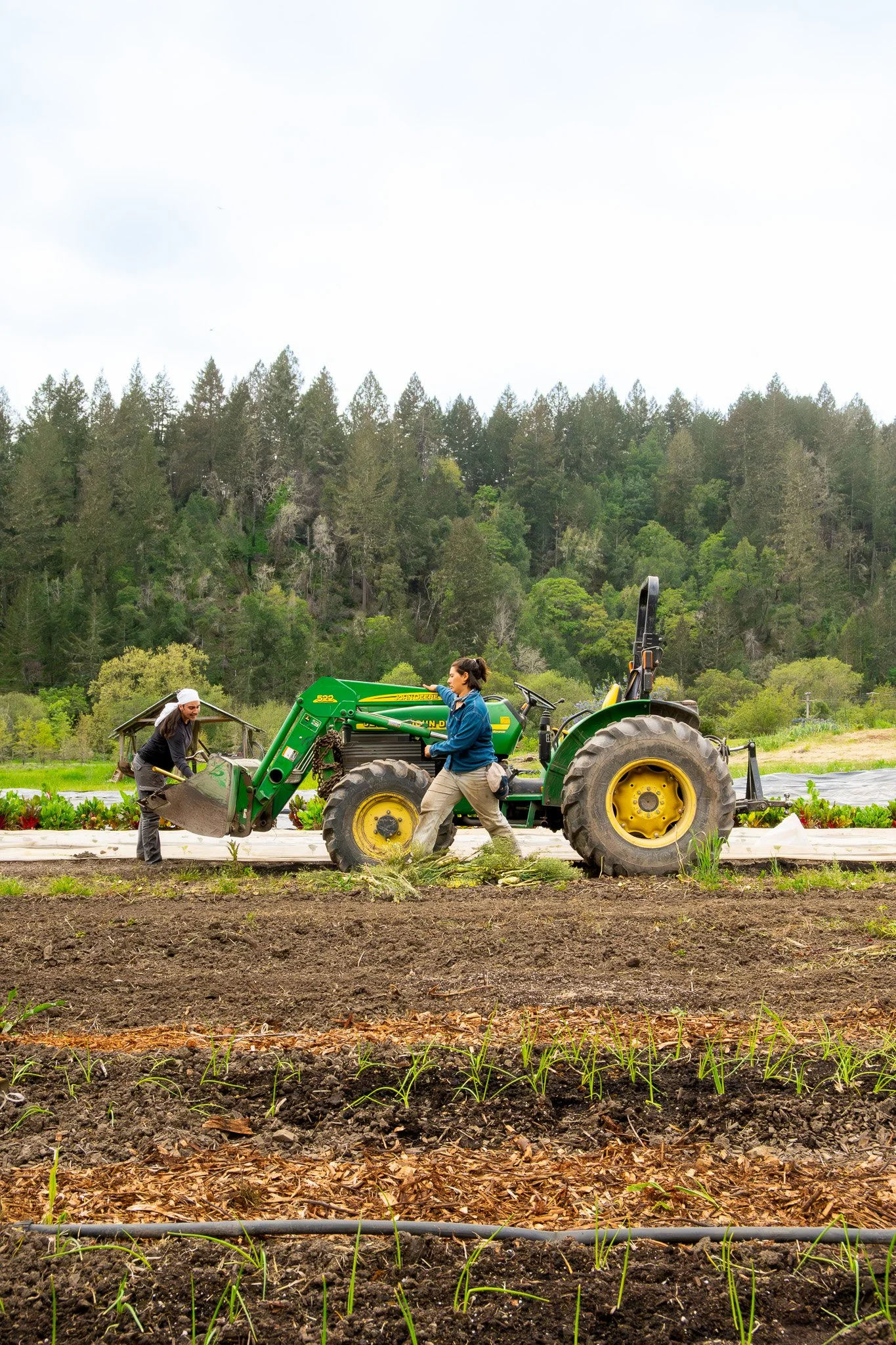 Fledgling Farm — Zero Foodprint