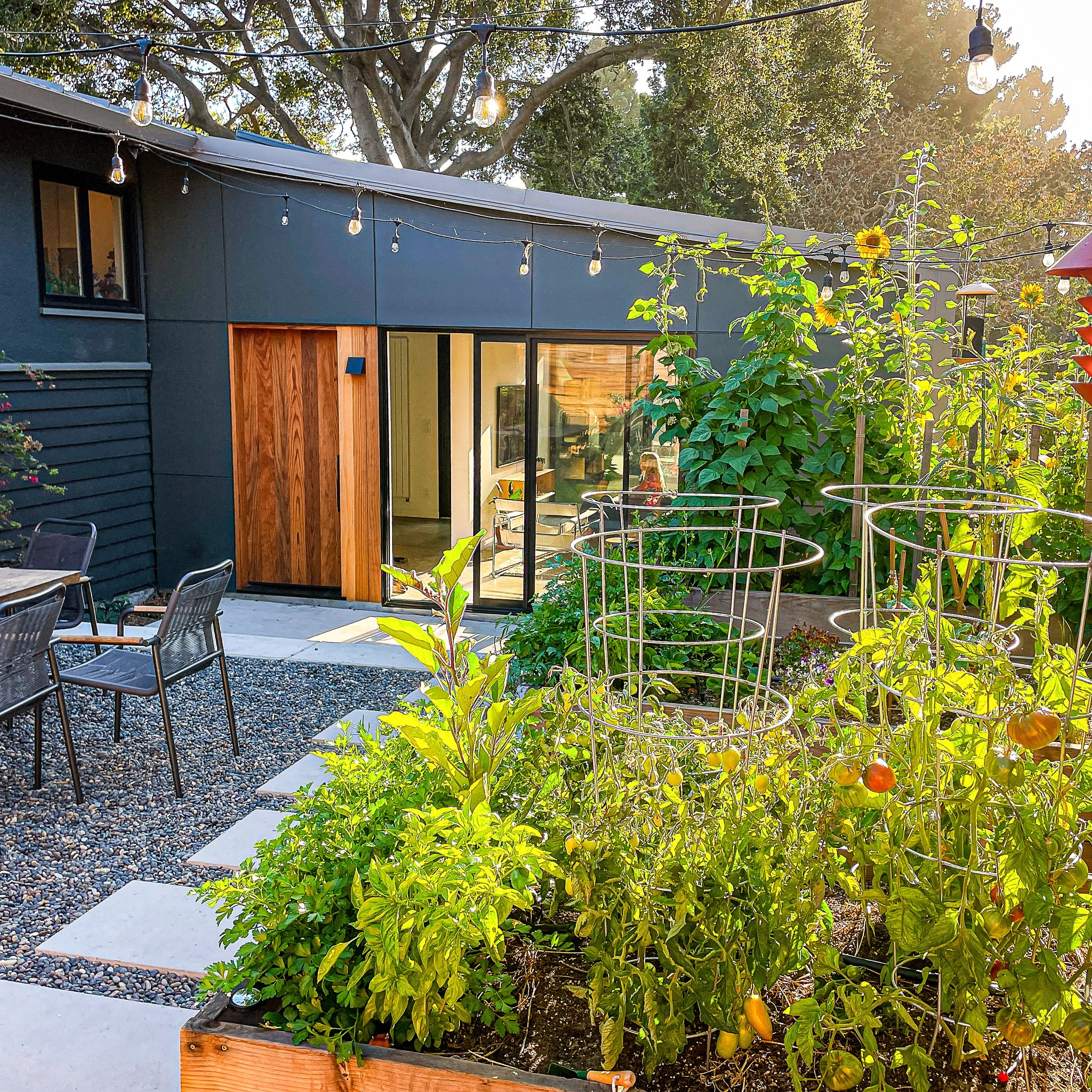 Knowles Architect Joins Zero Foodprint — Zero Foodprint