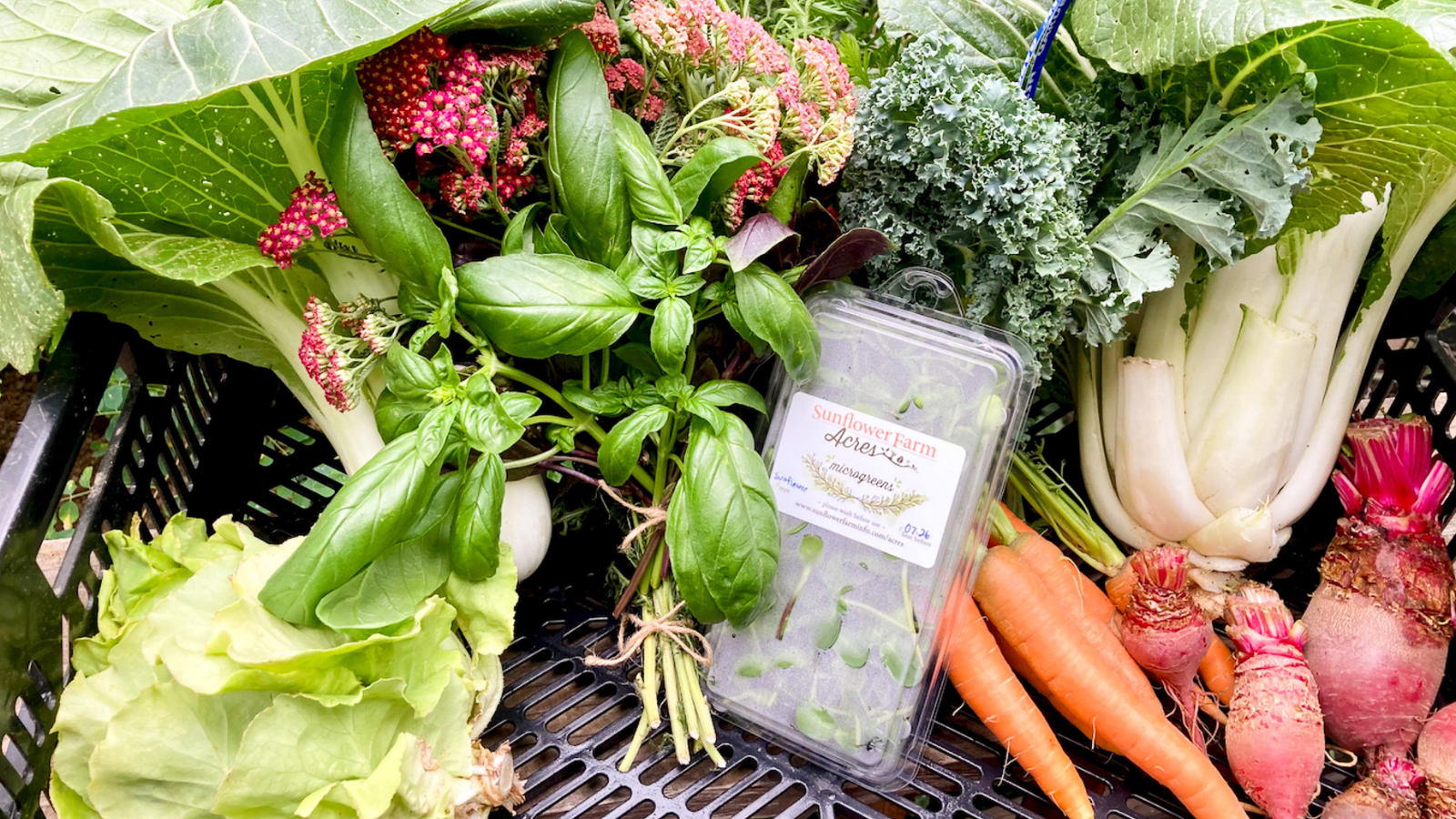 Sunflower Farm Acres — Zero Foodprint