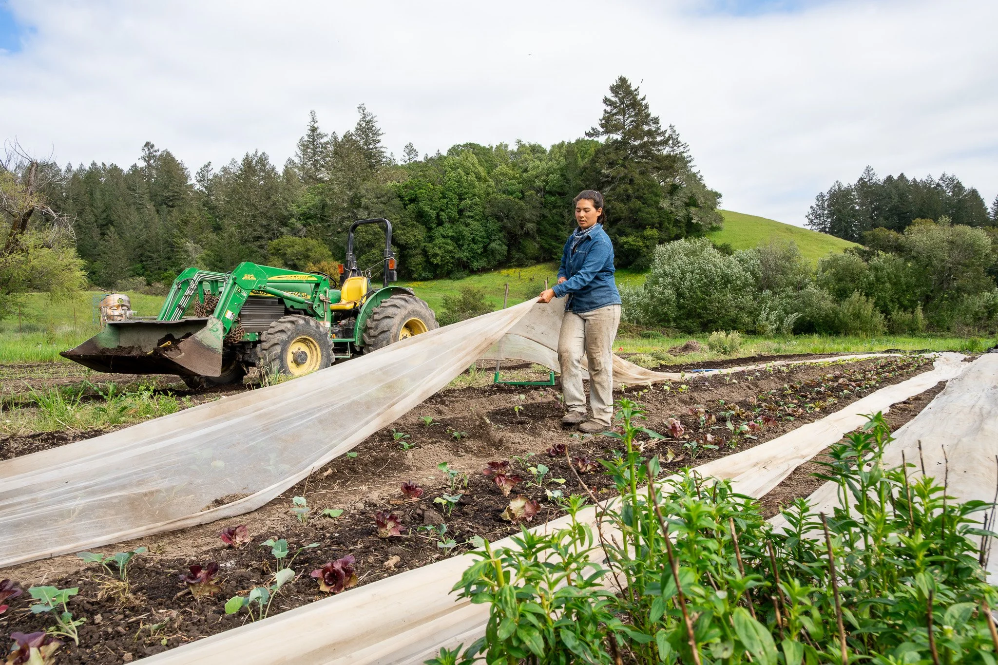 Fledgling Farm — Zero Foodprint