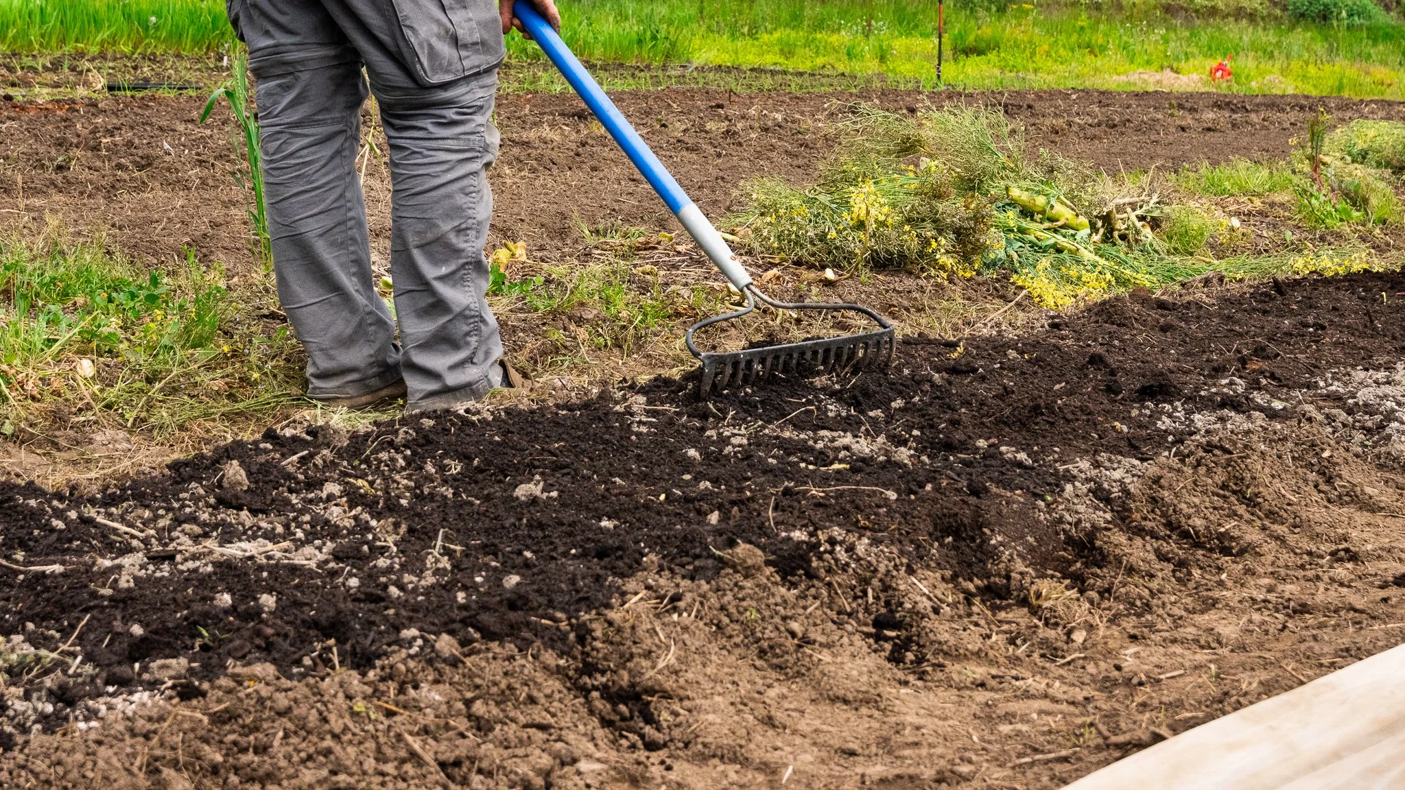 Fledgling Farm — Zero Foodprint